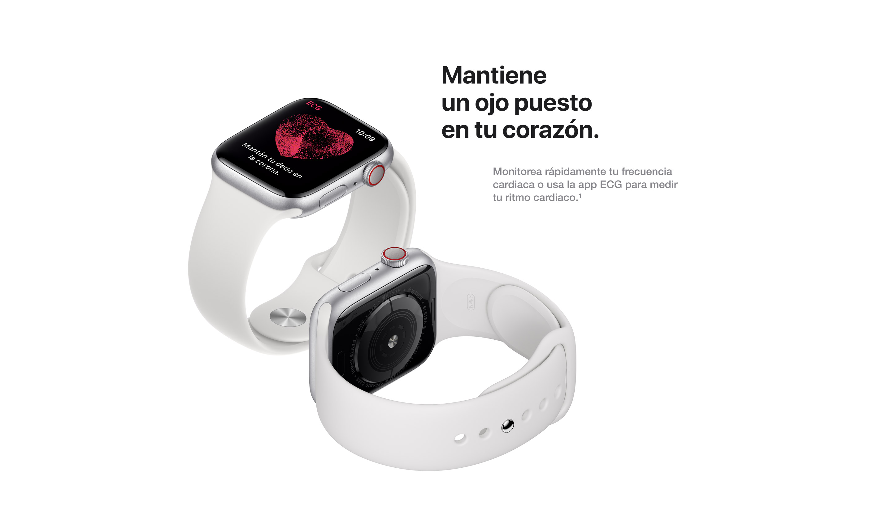 Nuevo Apple Watch Serie 5 Cellular - El principal Apple Premium ...